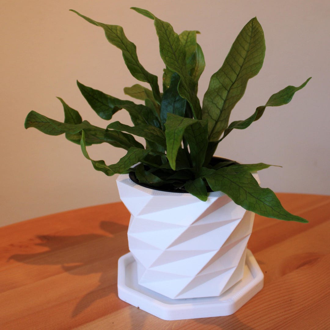 3D Printed Low Poly Vase, Eco-friendly Bio-based Material, Planter Pot ...