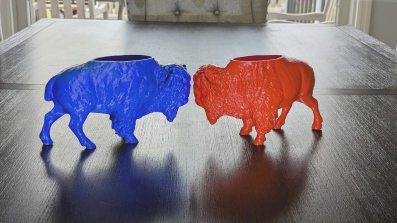 3D Printed Buffalo Planter, Red and Blue Succulent Pot, Eco-friendly ...
