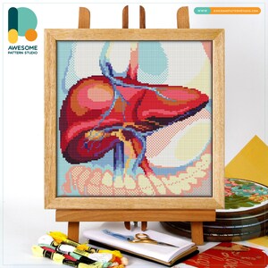 Liver Anatomy Cross Stitch Pattern and Kit Modern Needlework Art PDF ...