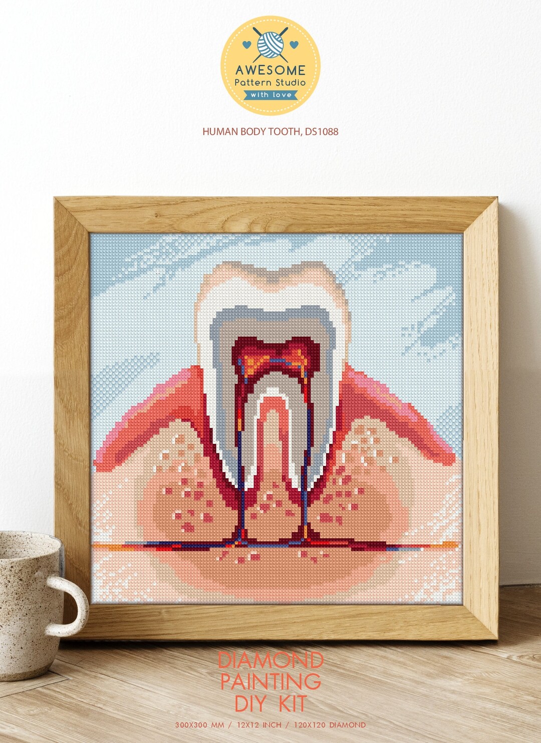 Human Body Tooth DS1088 Diamond Painting DIY KIT Anathomy - Etsy