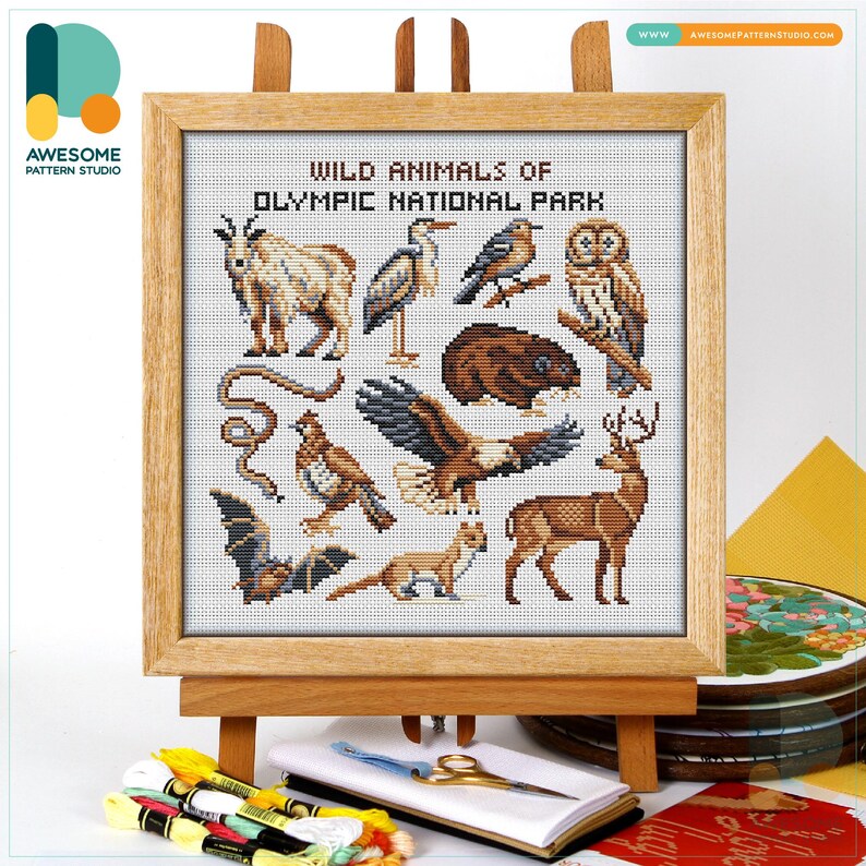 Olympic National Park, Washington USA, America CS2820, Counted Cross ...