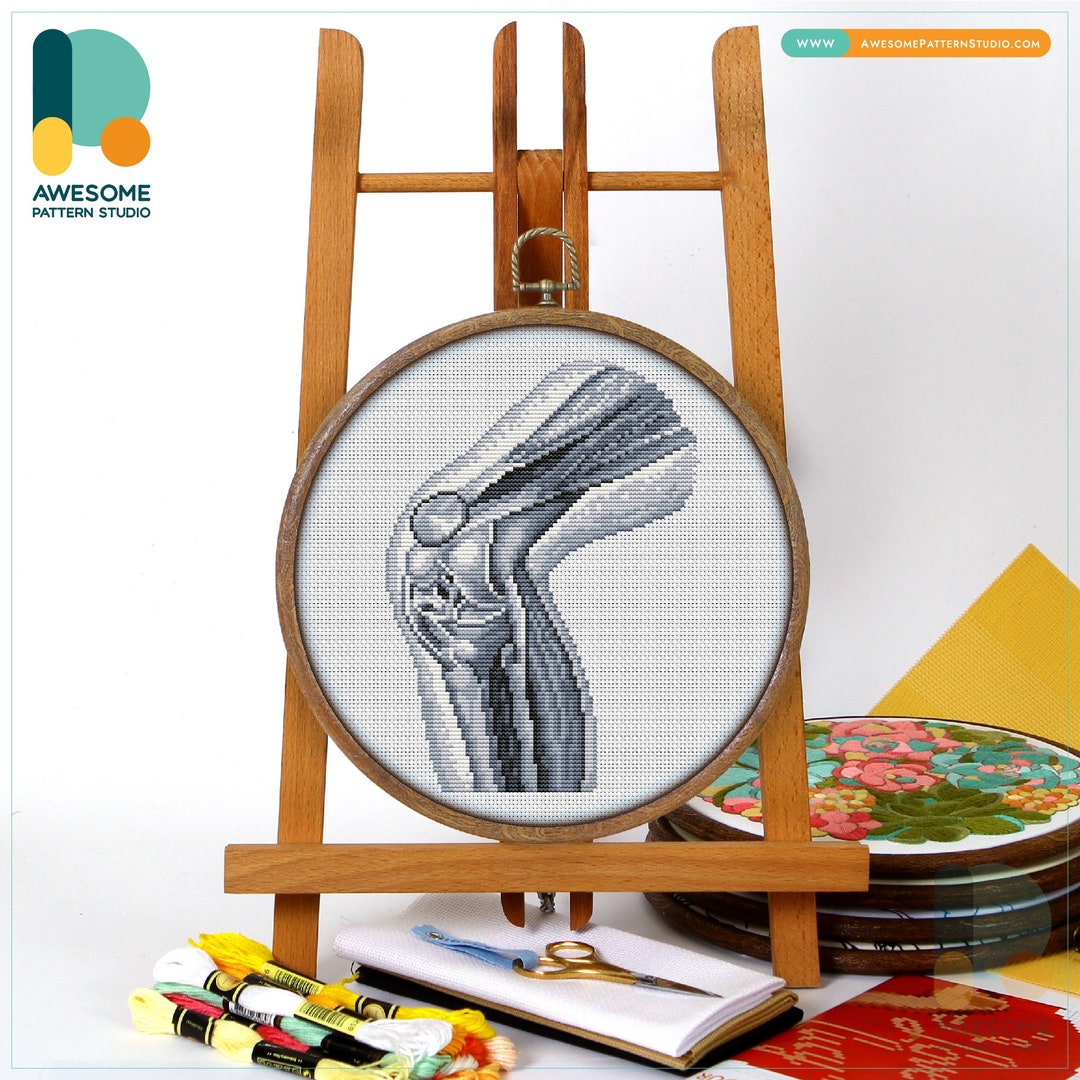 Knee Joint the Human Anatomy CS2083, Counted Cross Stitch Pattern KIT ...