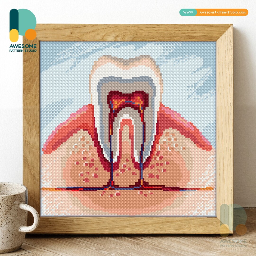 Tooth Anatomy Diamond Painting Kit - Modern Mosaic Kit Sampler for ...