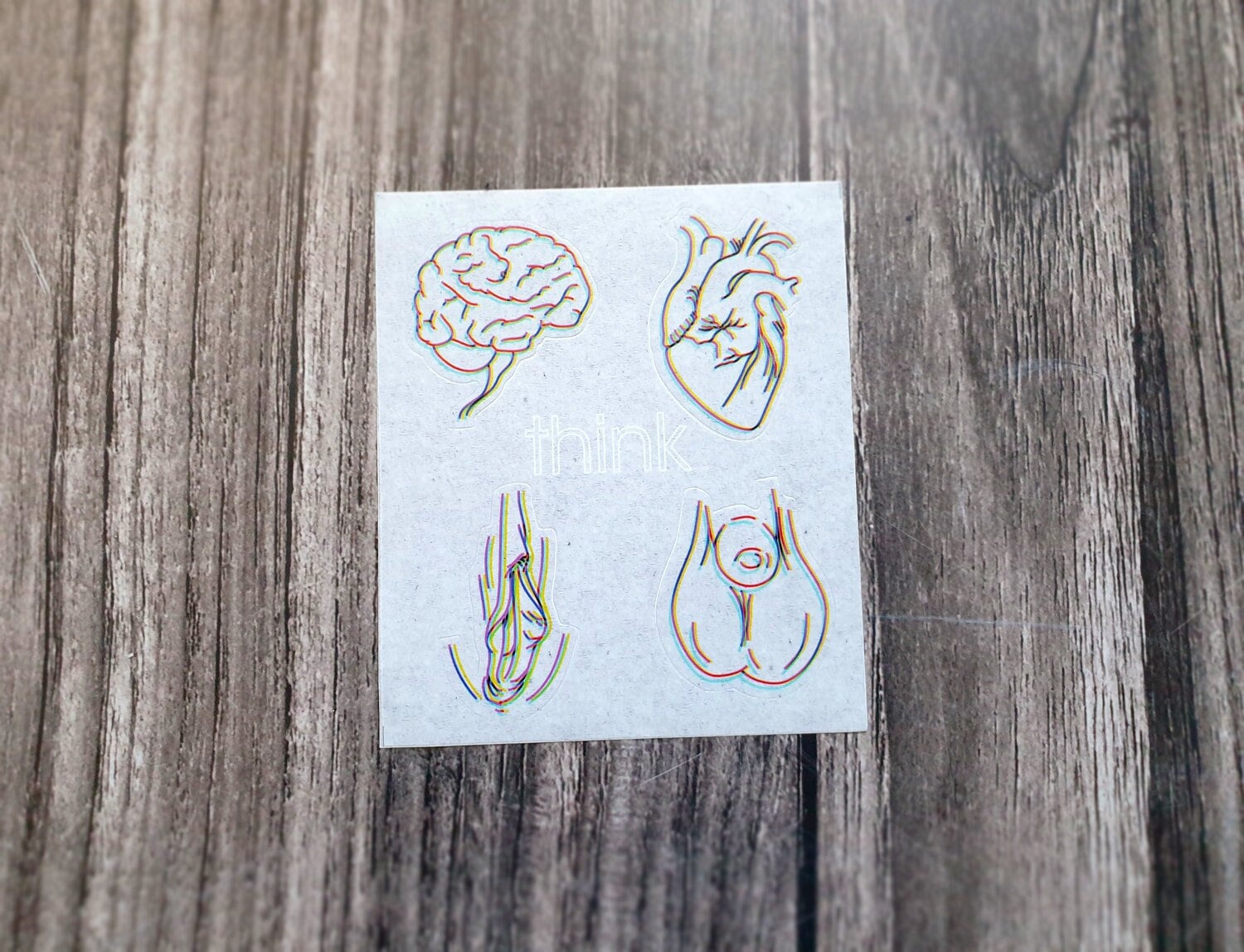 Human Body Parts Vinyl Sticker Set of 4 Pcs, Penis, Vagina, Brain ...