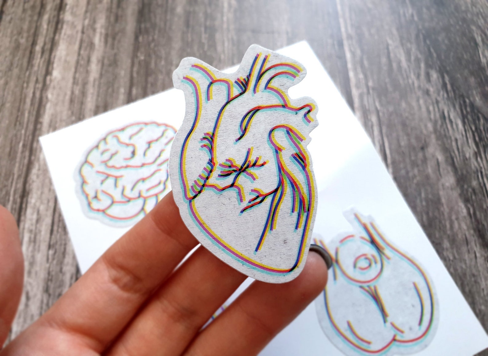 Human Body Parts Vinyl Sticker Set of 4 Pcs, Penis, Vagina, Brain ...