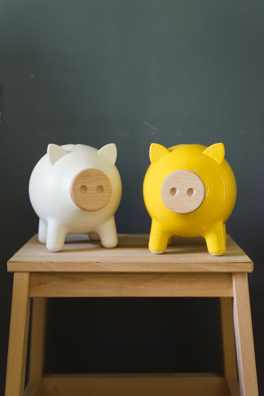 Handmade Ceramic Piggy Bank, Modern Shelf Decor - Etsy