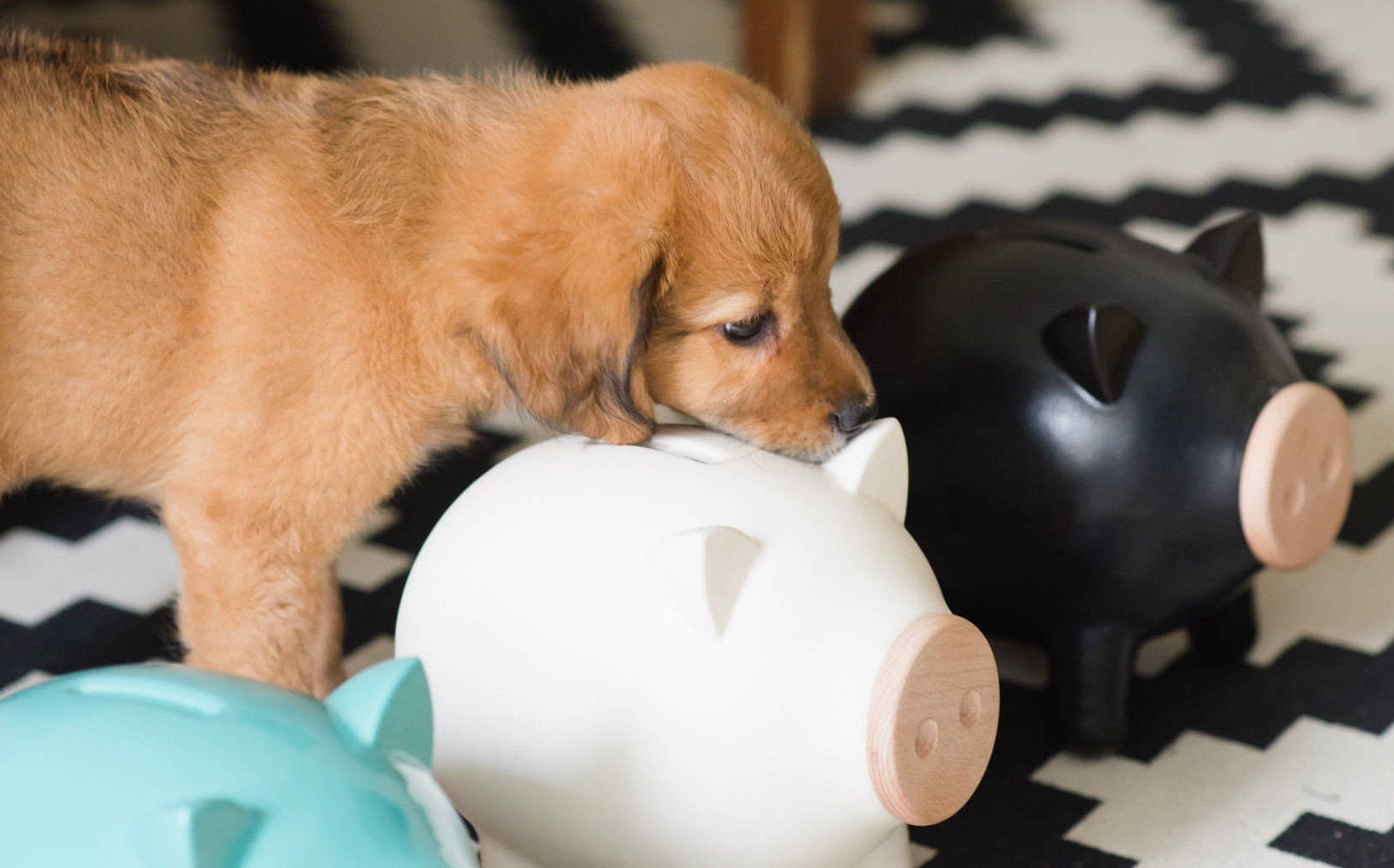 Large Piggy Bank, White Piggy Bank, Ceramic Piggy Bank, Baby Shower ...