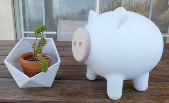 Cool piggy banks for adults store