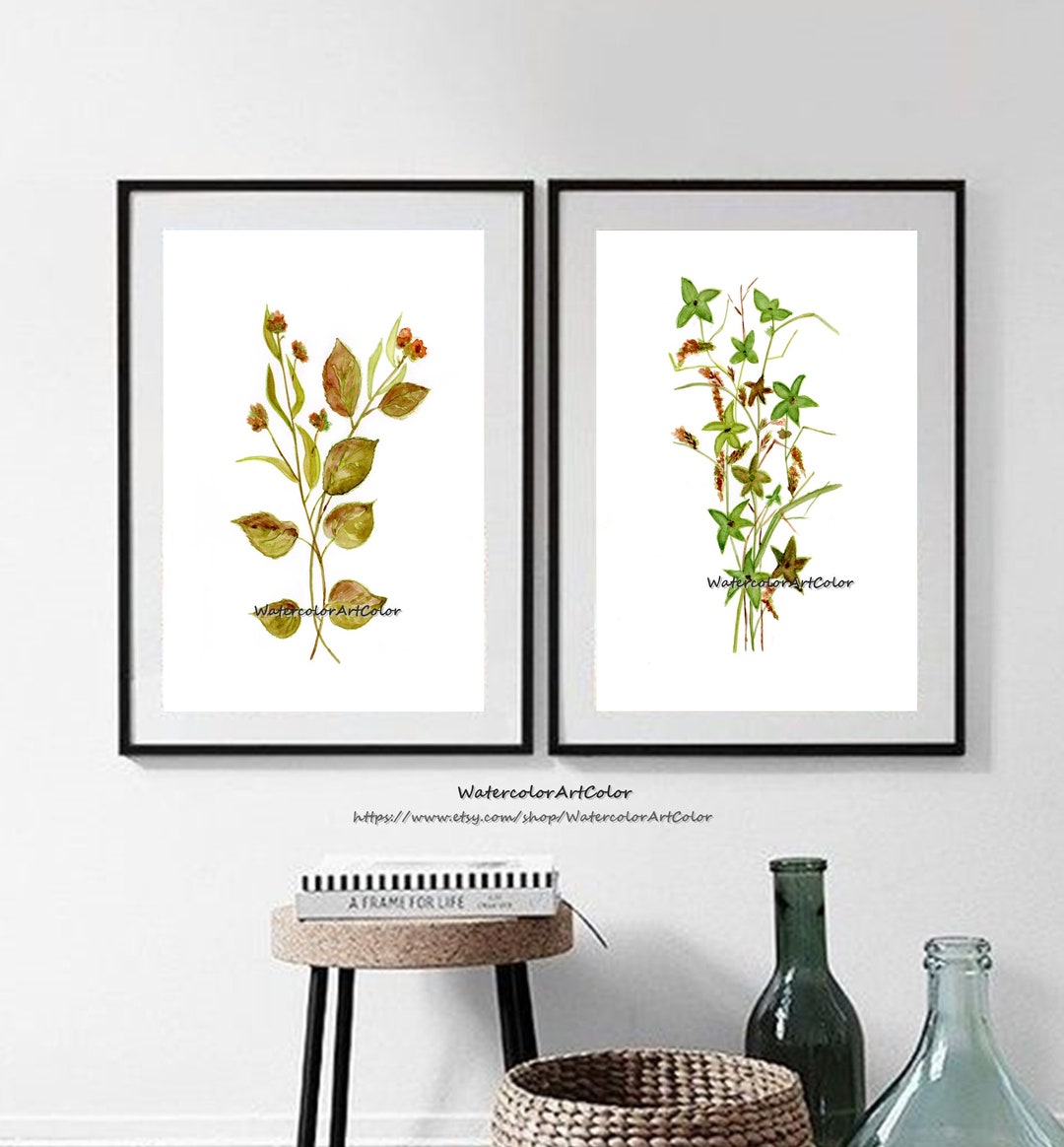 Watercolor Flowers Herbs Plants Illustration Set of 2 Art Prints ...