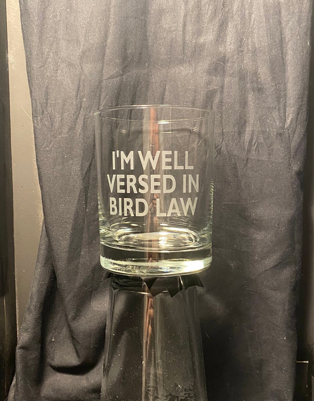 Great Gift for Fans of IASIP i'm Well Versed in Bird Law Sandblasted ...