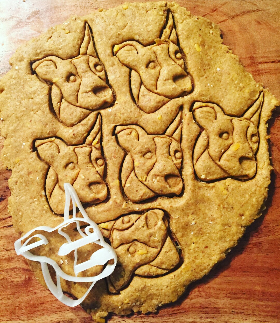 Ellie the Pitbull Mix Dog Cookie Cutter - Boxer Cookie Cutter - Dog ...