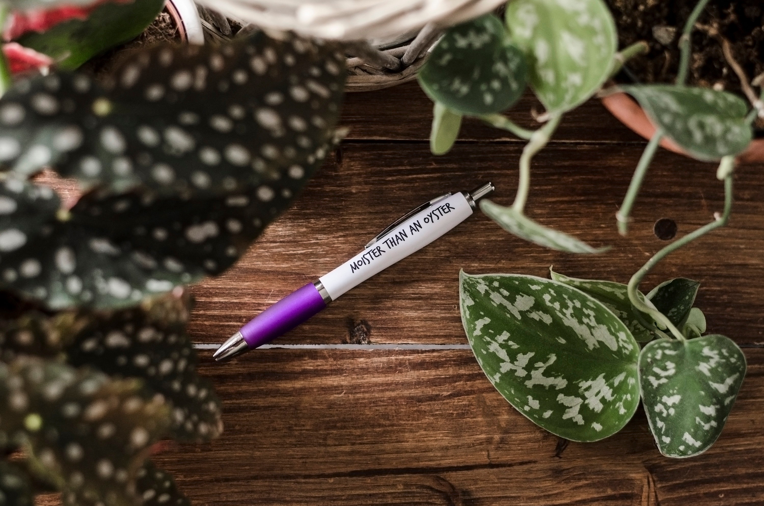 SWEARY PENS / Funny Rude Pens / Adults Only / Moister Than an - Etsy