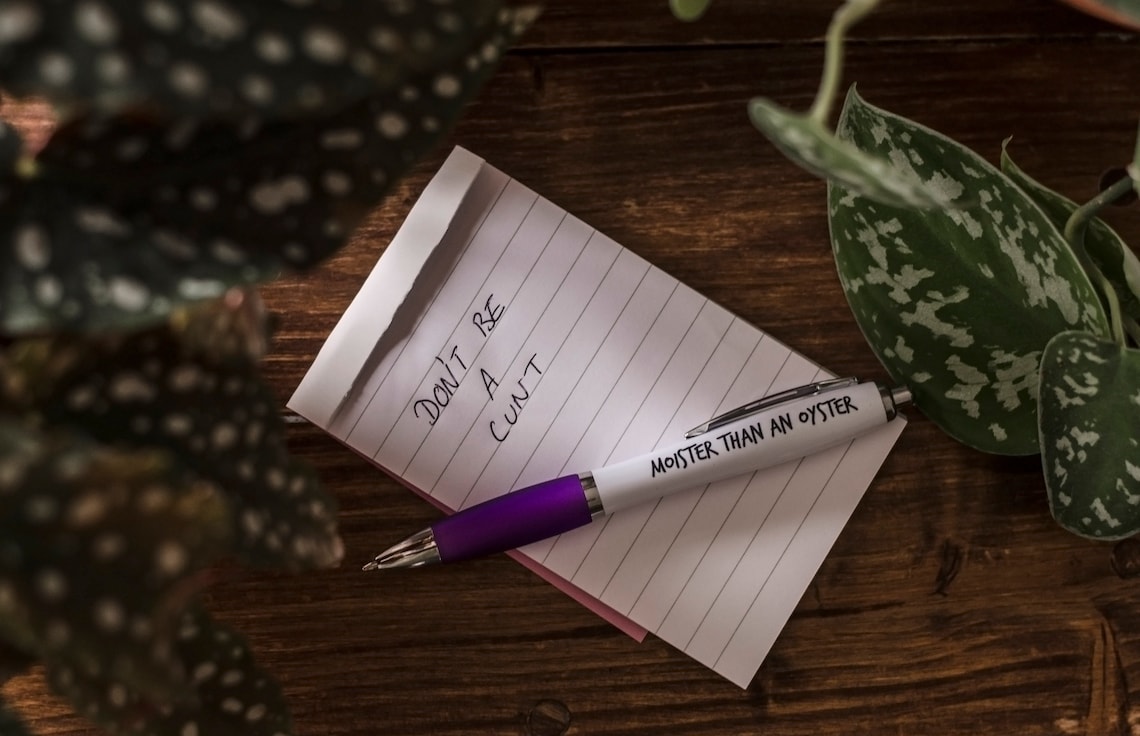 SWEARY PENS / Funny Rude Pens / Adults Only / Moister Than an - Etsy