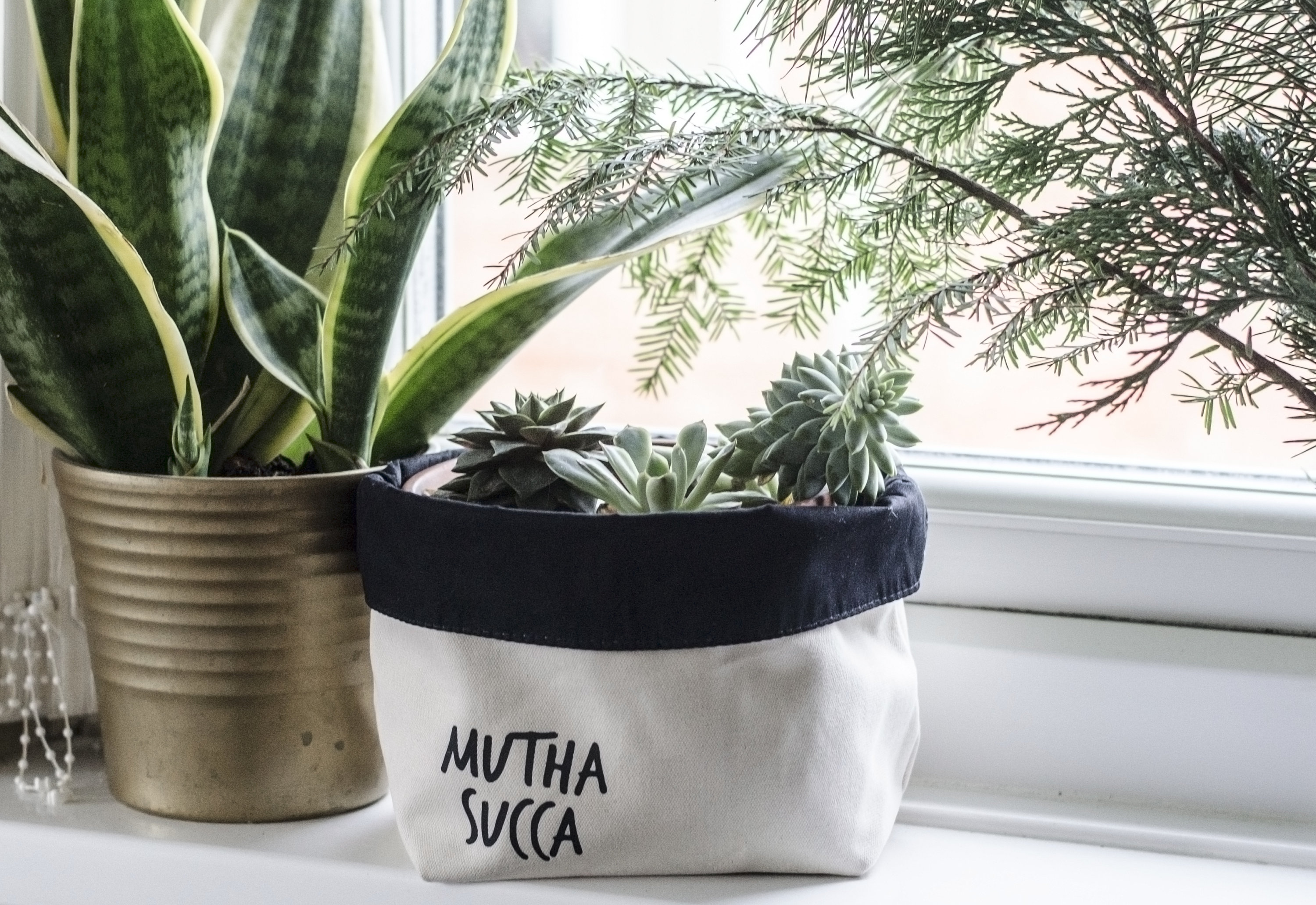SWEARY PLANTS Mutha Succa / canvas plant pot holder / | Etsy