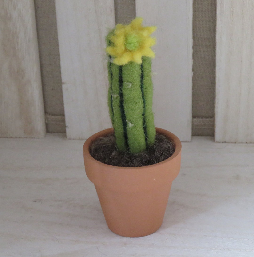 Needle Felt Cactus - Etsy