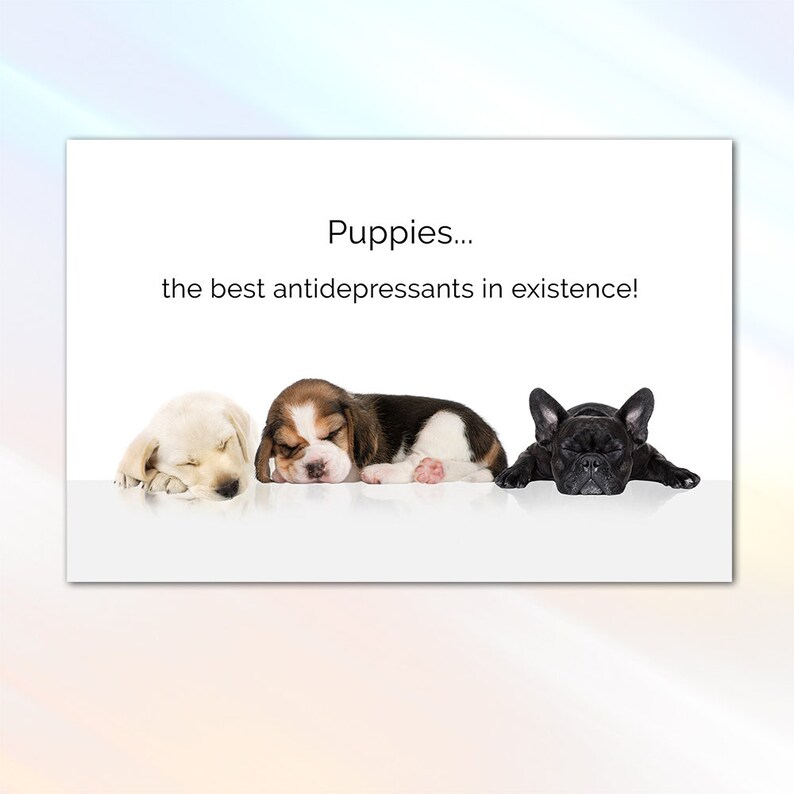 Printable Postcards Canine Zen Dog Postcards Funny Dog Postcards Dog ...