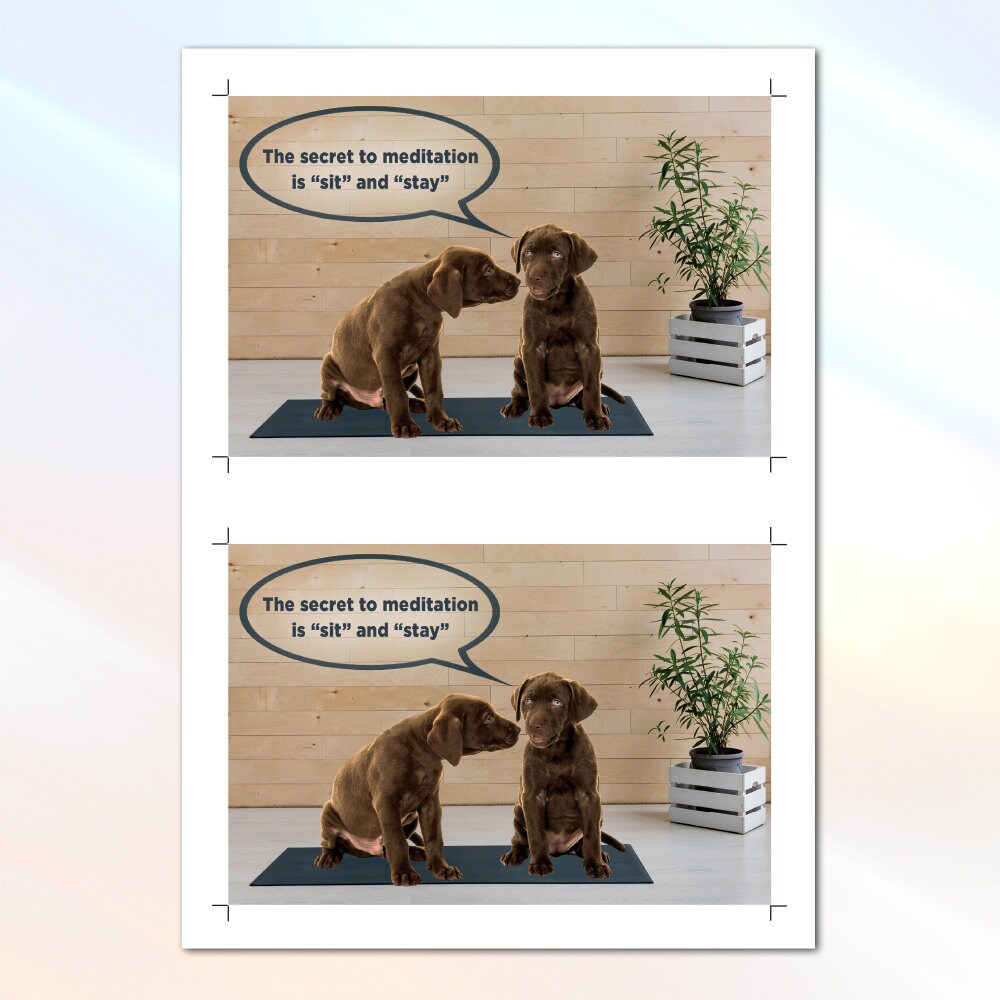 Printable Postcards Canine Zen Dog Postcards Funny Dog Postcards Dog ...