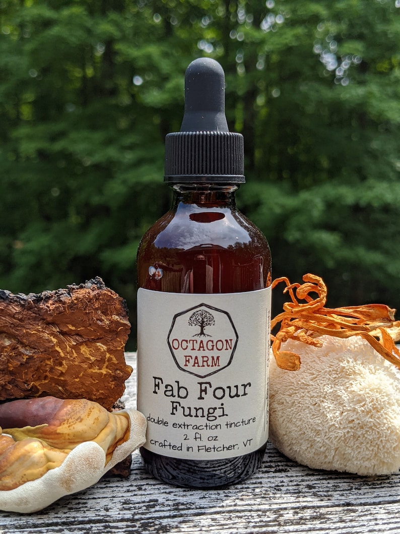 Reishi/chaga/lion's Mane/cordyceps Tincture Double Extraction Medicinal ...