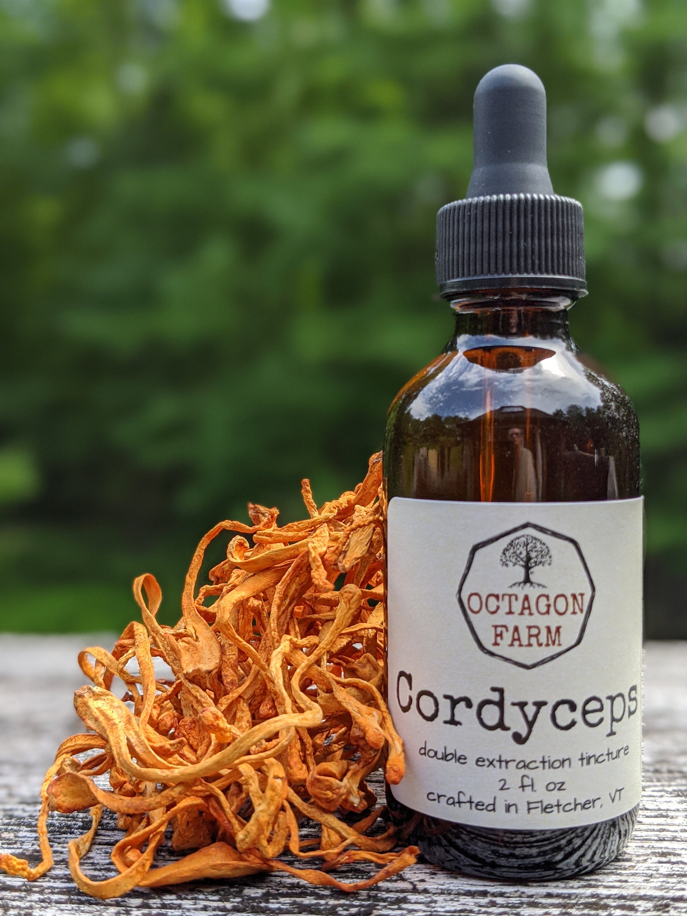 Cordyceps Tincture Double Extraction Medicinal Mushroom Fungus Natural ...