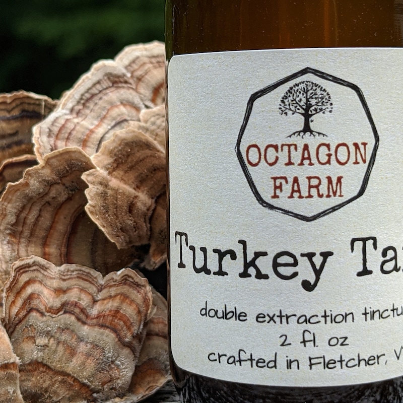 Mushroom Extract Powders - Etsy