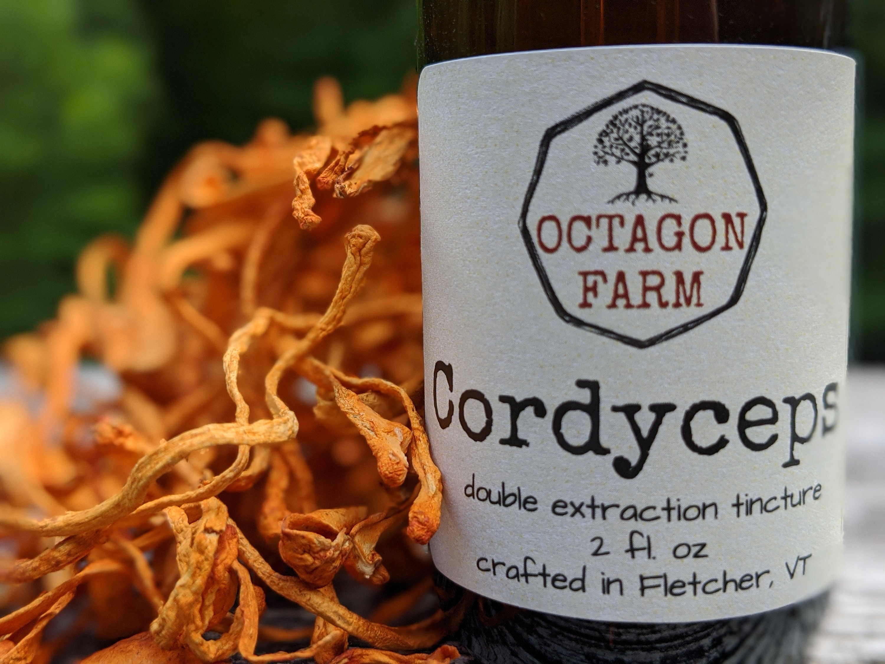 Cordyceps Tincture Double Extraction Medicinal Mushroom Fungus Natural ...