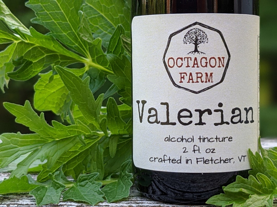 Valerian Tincture Extract Sedative Sleep Aid Insomnia Natural Herbal ...