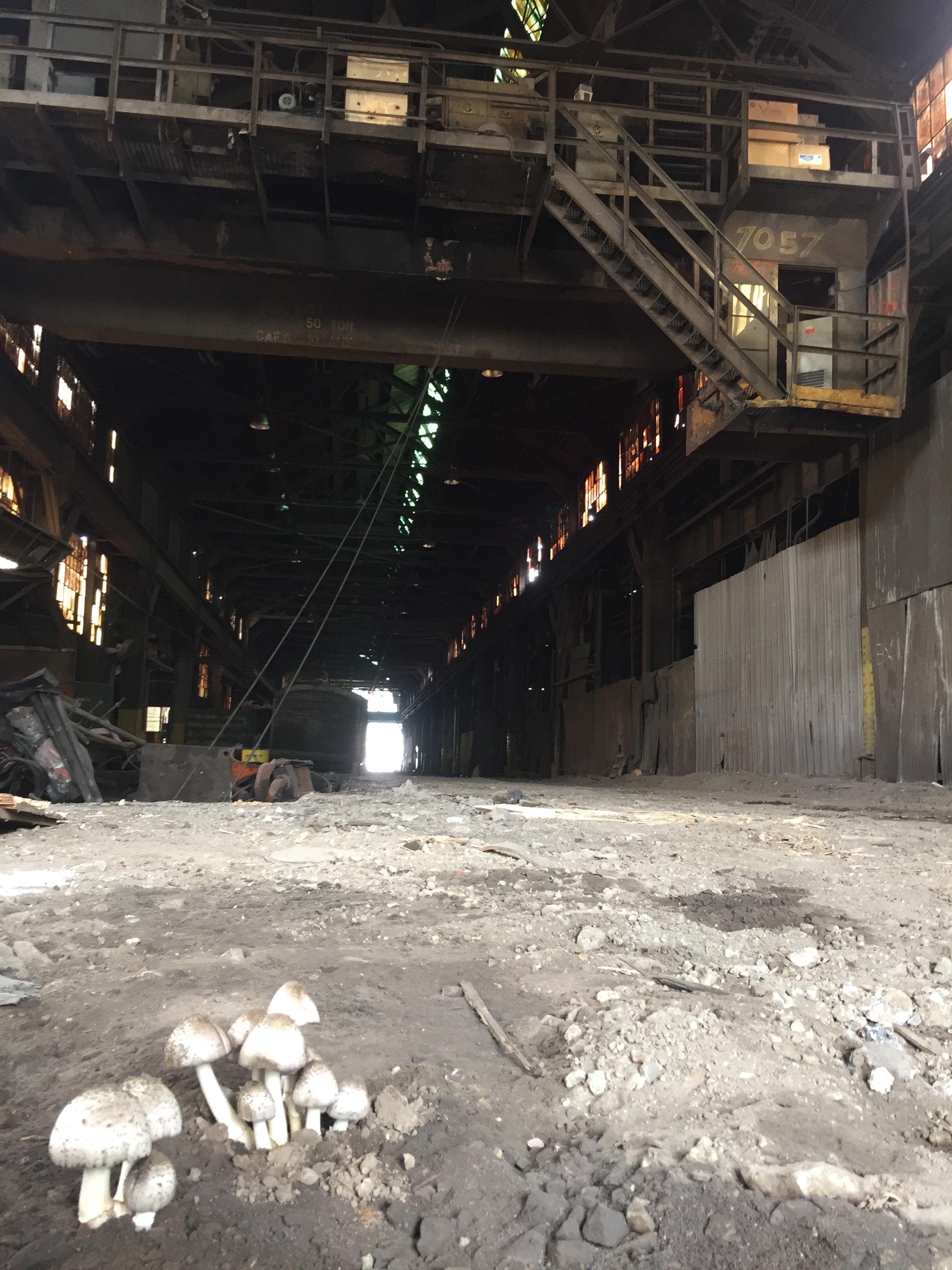 Vintage Bethlehem Steel Mill Original Advertising Logo Tag Industrial ...