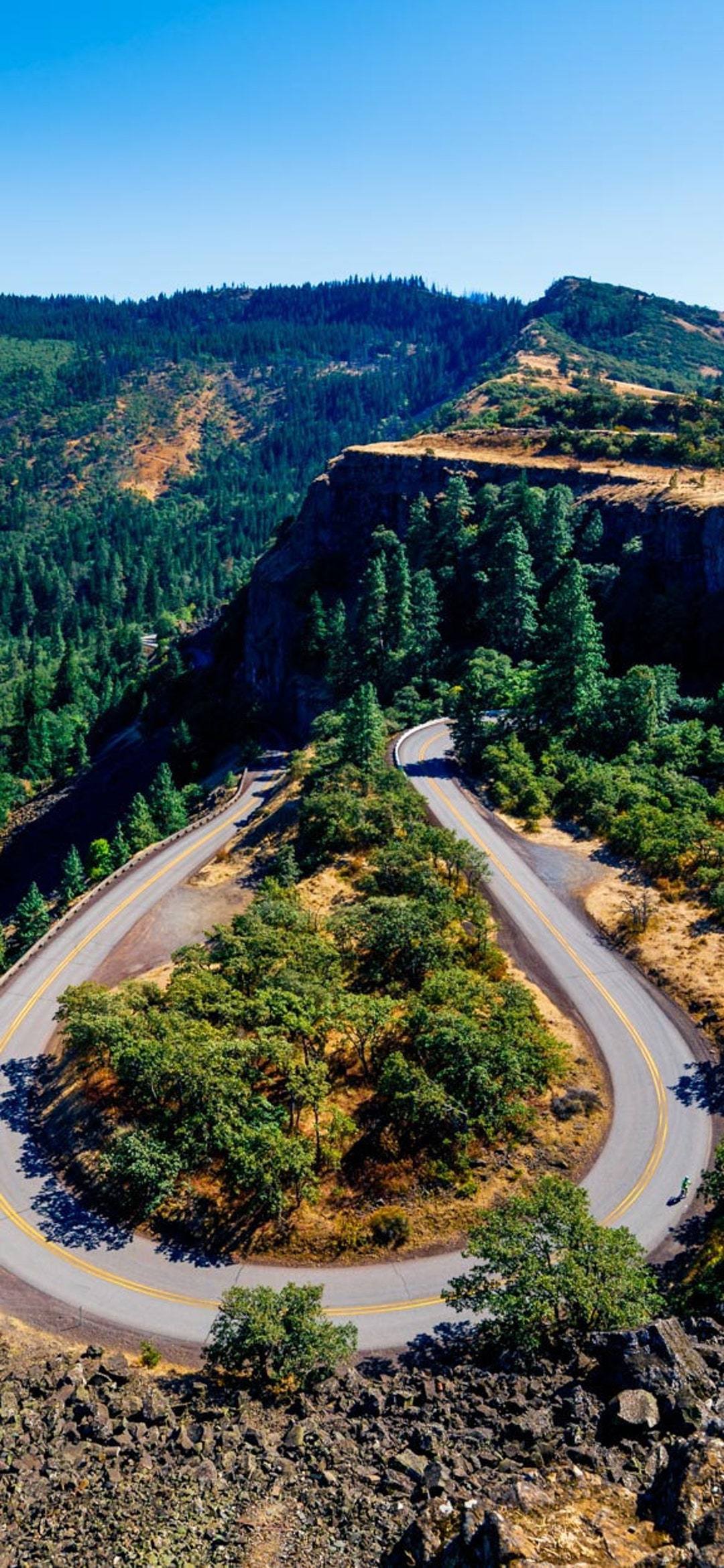 Rowena Crest Wallpaper - iPhone 16 All Models (& Older) - Instant ...