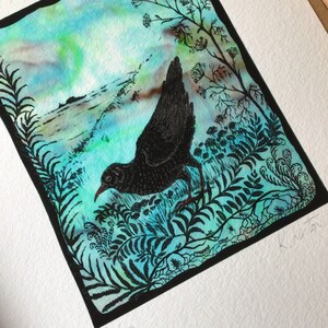 Cornish Chough, Limited Edition Giclee Print on Hahnemuhle German ...