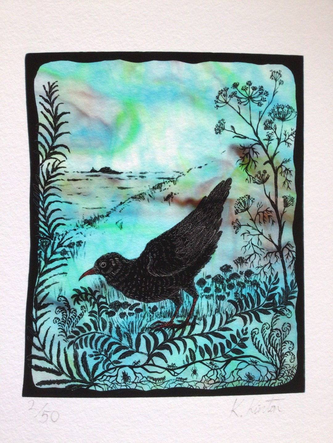 Cornish Chough, Limited Edition Giclee Print on Hahnemuhle German ...