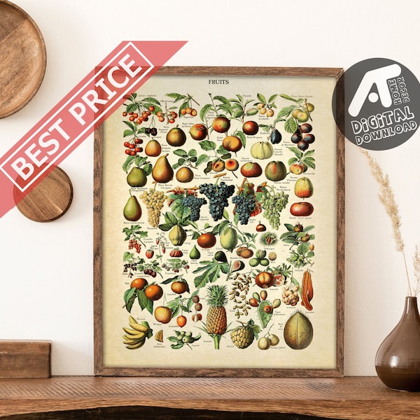 Botanical Poster - Etsy