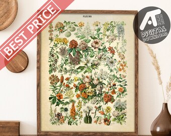 Vintage Flowers Poster, Floral Print, Antique Botanical Poster, Adolphe ...