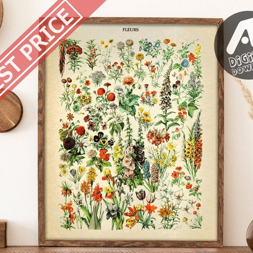 Vintage Flowers Poster Floral Print Antique Botanical - Etsy