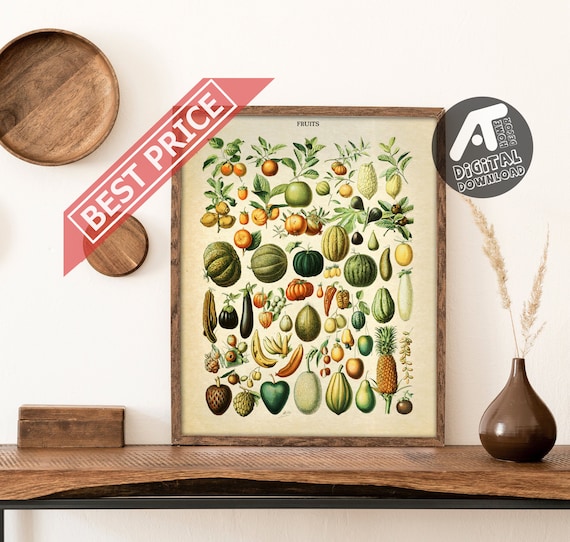 Vintage Fruits Poster Fruits Print Antique Botanical Poster | Etsy