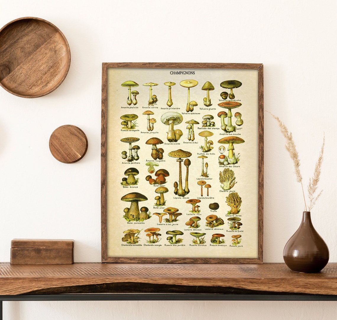 Vintage Mushrooms Poster, Antique Botanical Print, Adolphe Millot ...
