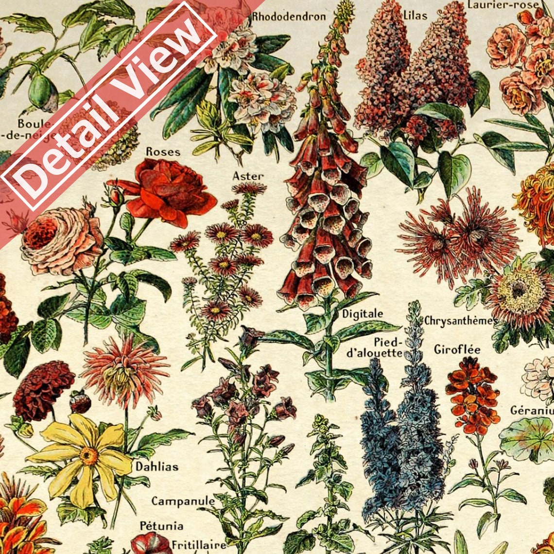Vintage Flowers Poster Floral Print Antique Botanical - Etsy