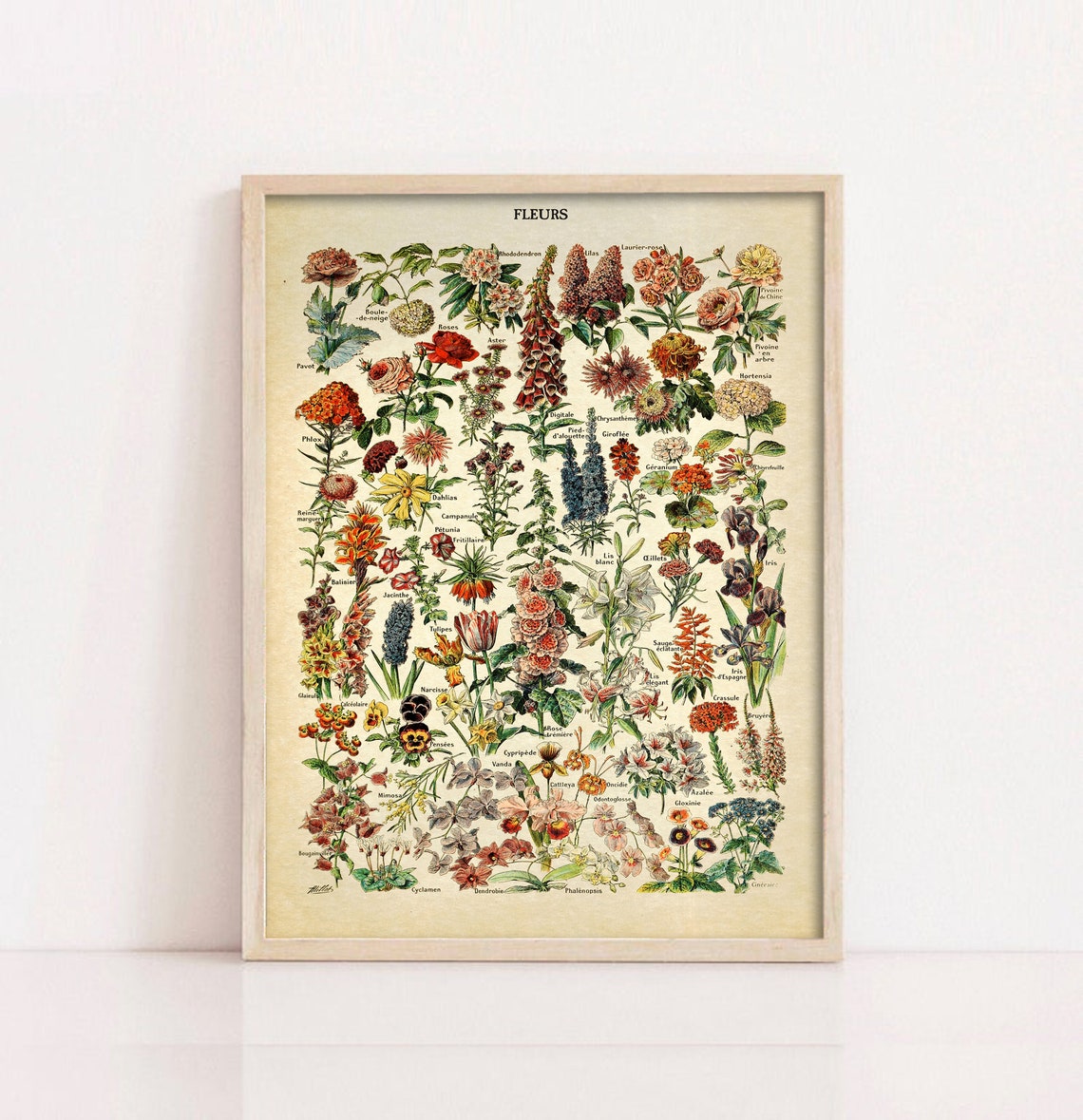 Vintage Flowers Poster Floral Print Antique Botanical - Etsy