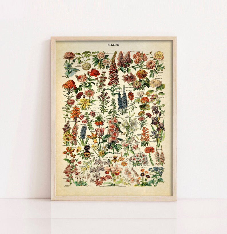 Vintage Flowers Poster Floral Print Antique Botanical - Etsy