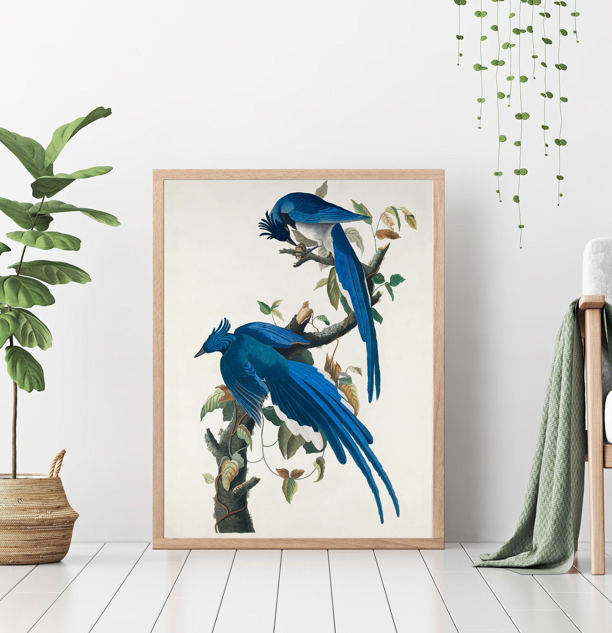 Vintage Blue Birds Prints Set of 4 Prints Vintage Birds - Etsy