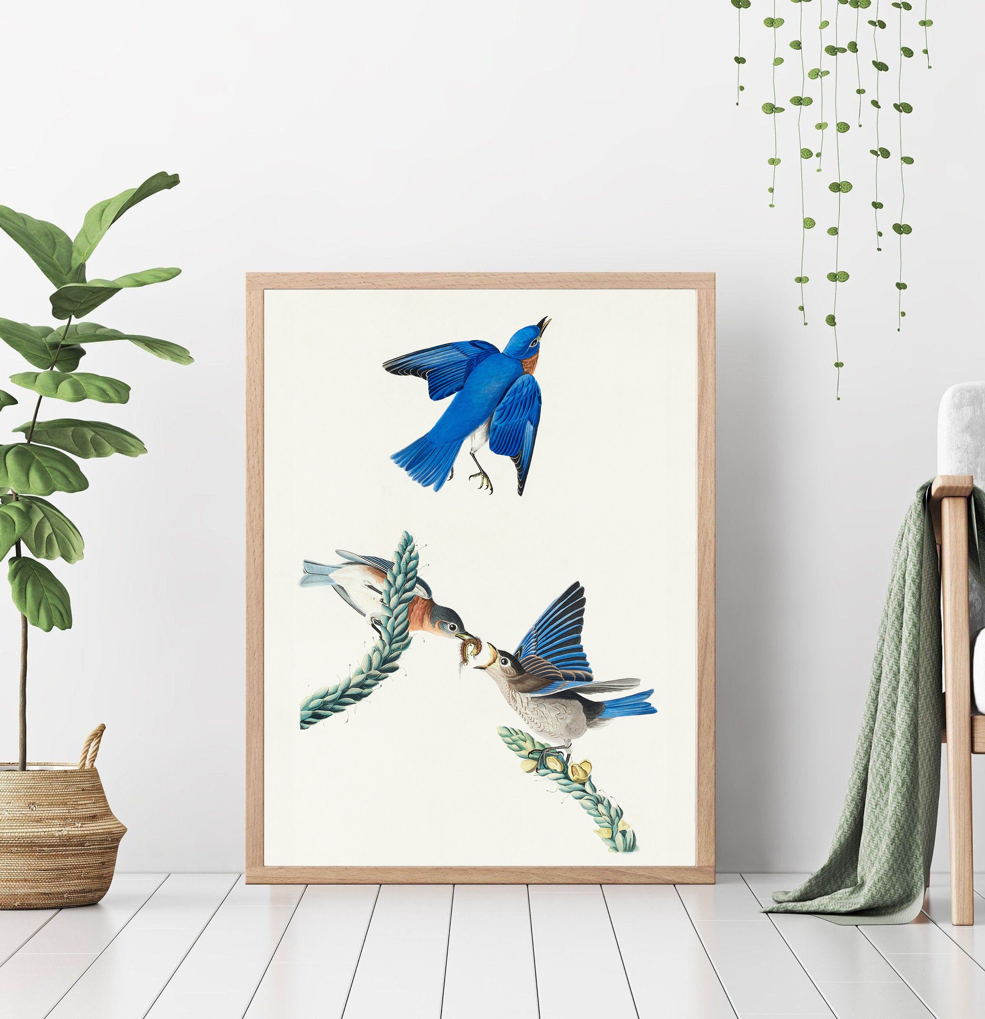 Vintage Blue Birds Prints Set of 4 Prints Vintage Birds - Etsy