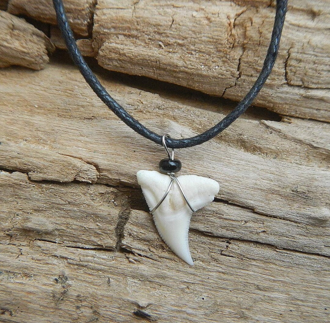 Shark Tooth Necklace Sharktooth XL Minimalist Amulet Talisman Surf ...