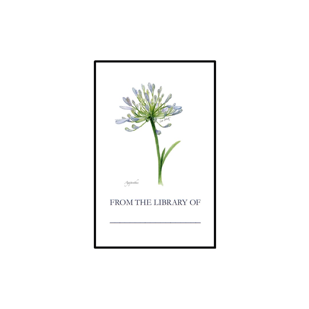 Agapanthus Book Plates, 2x3 Archival Sticker Adhesive, Set of 10 or Set ...