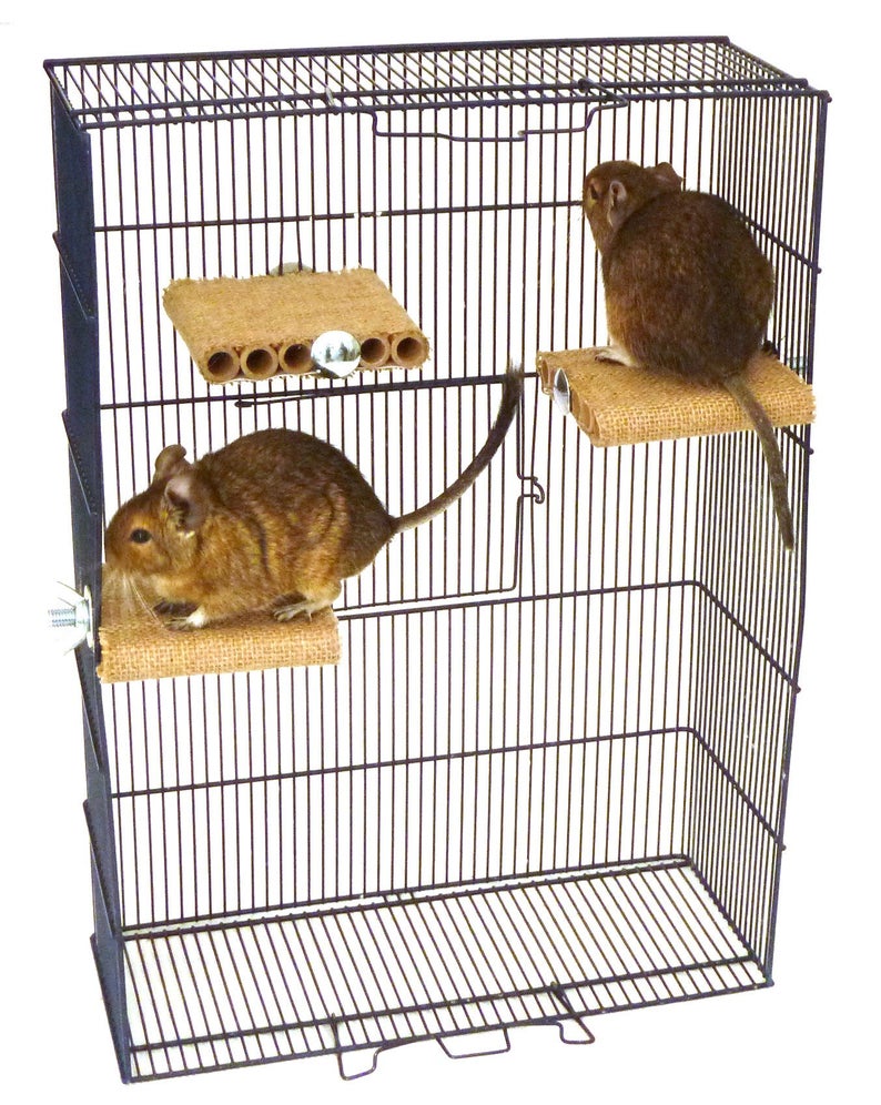 Degu Shelf Small Pet Toy Degu Rat Gerbil Hamster Cage | Etsy