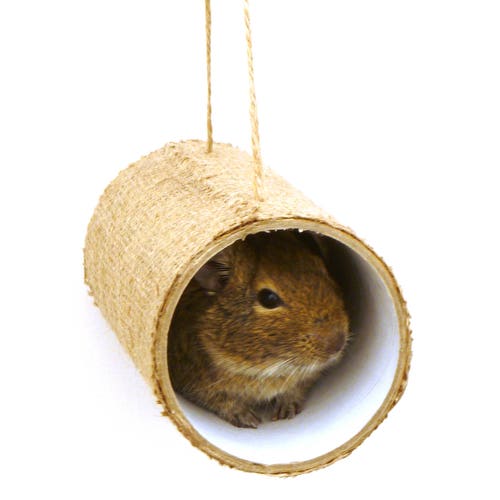 Degu Corner Shelf Pet Toy Degu Rat Gerbil Hamster Cage - Etsy