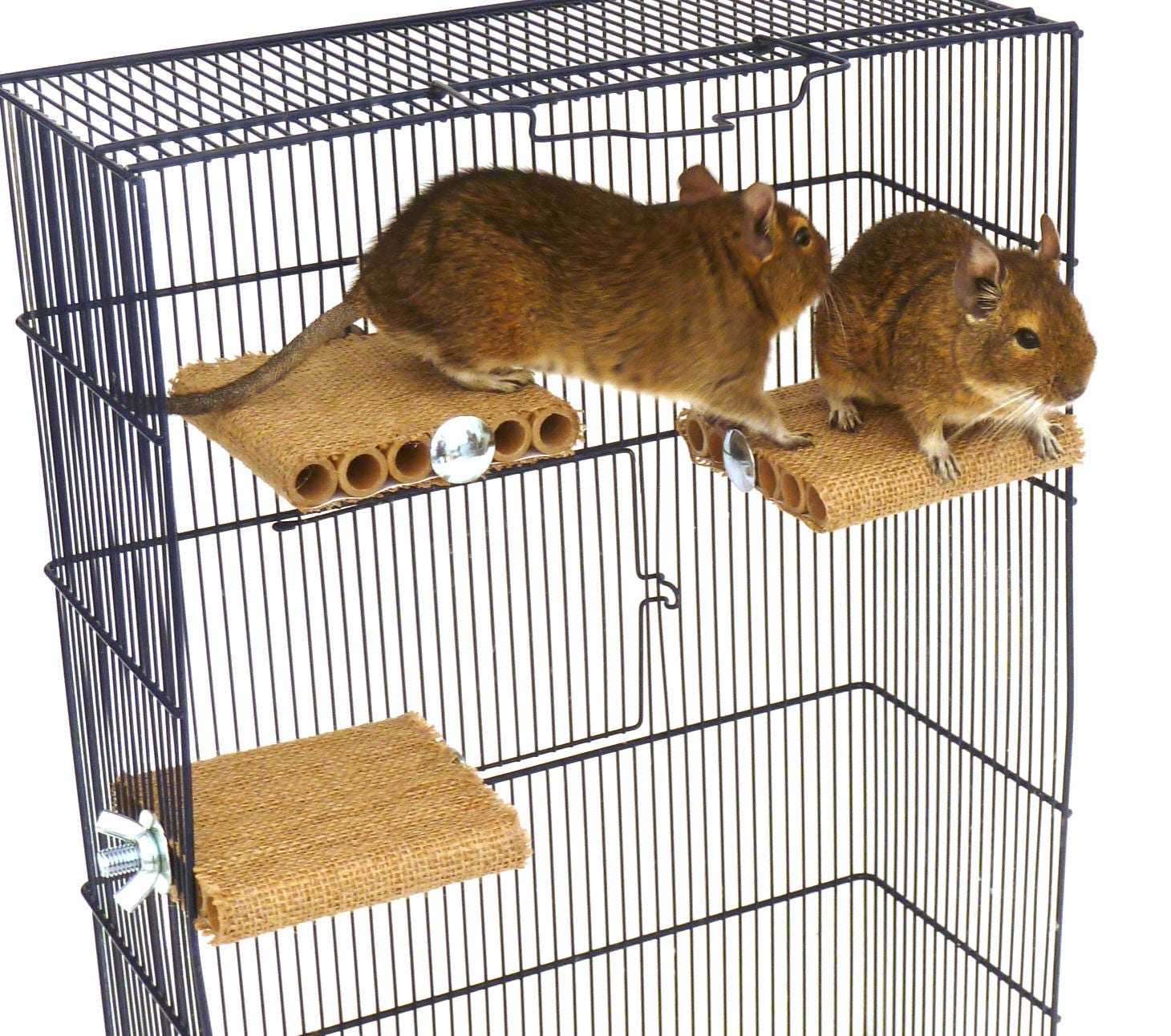 Degu Shelf Small Pet Toy Degu Rat Gerbil Hamster Cage | Etsy