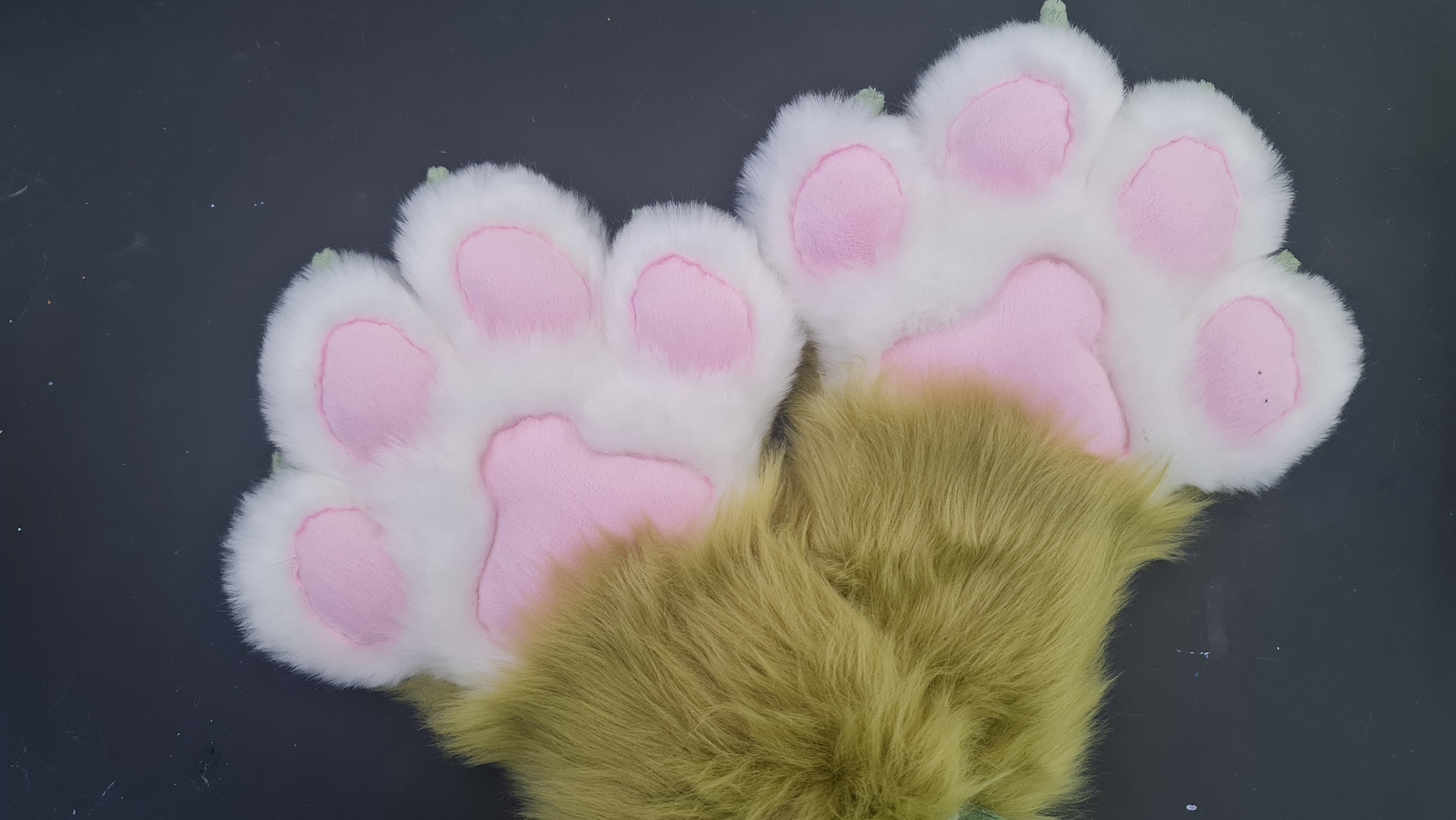 Furry hand paw template - protectionbooy