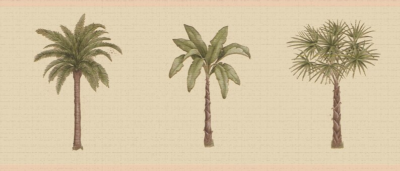Nature Beige Green Palm Trees Wall Border Retro Design - Etsy