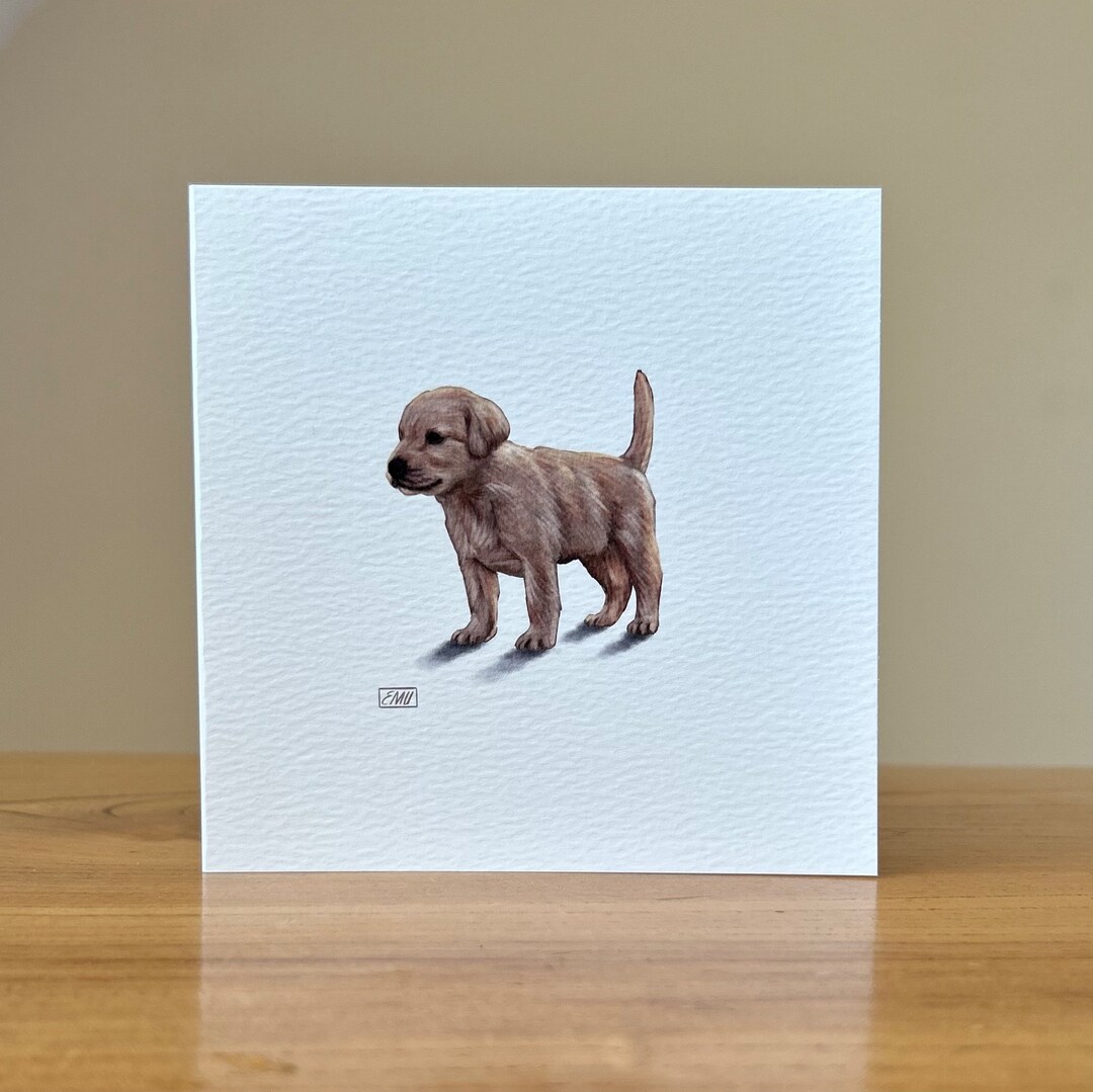 Labrador Puppy Card - Etsy