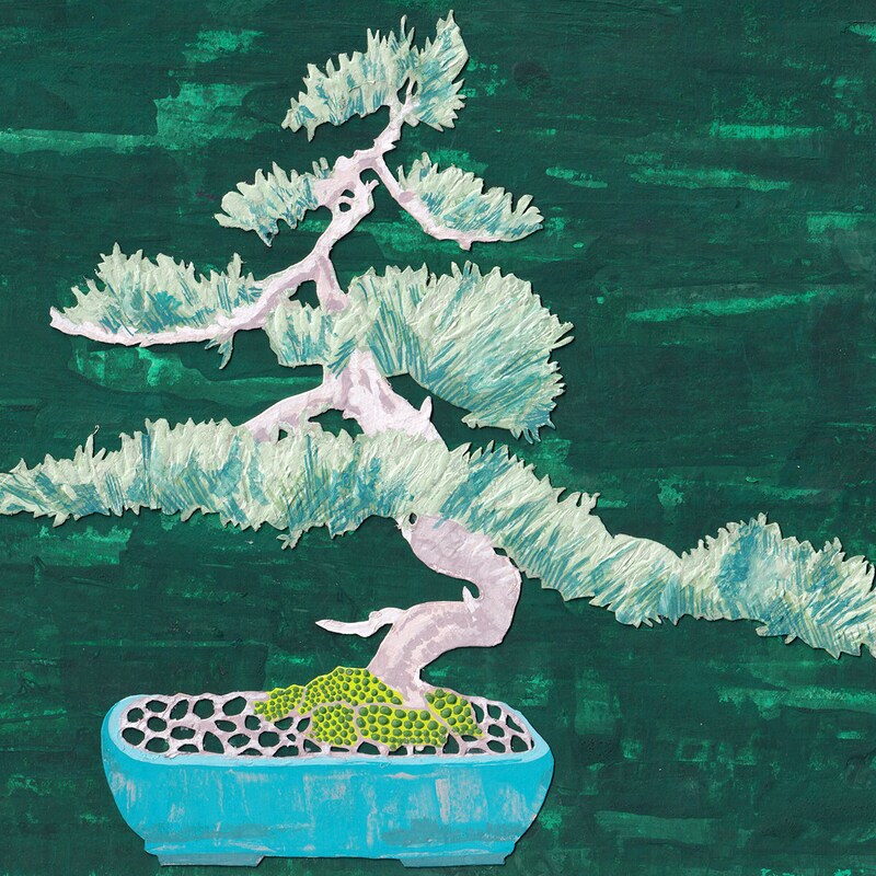 Bonsai Tree Painting - Etsy