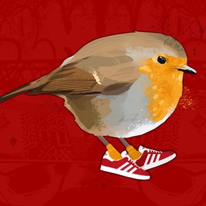 Robin Redbreast, Cool Bird Art, Cool Bird Print, British Birds, Bird ...